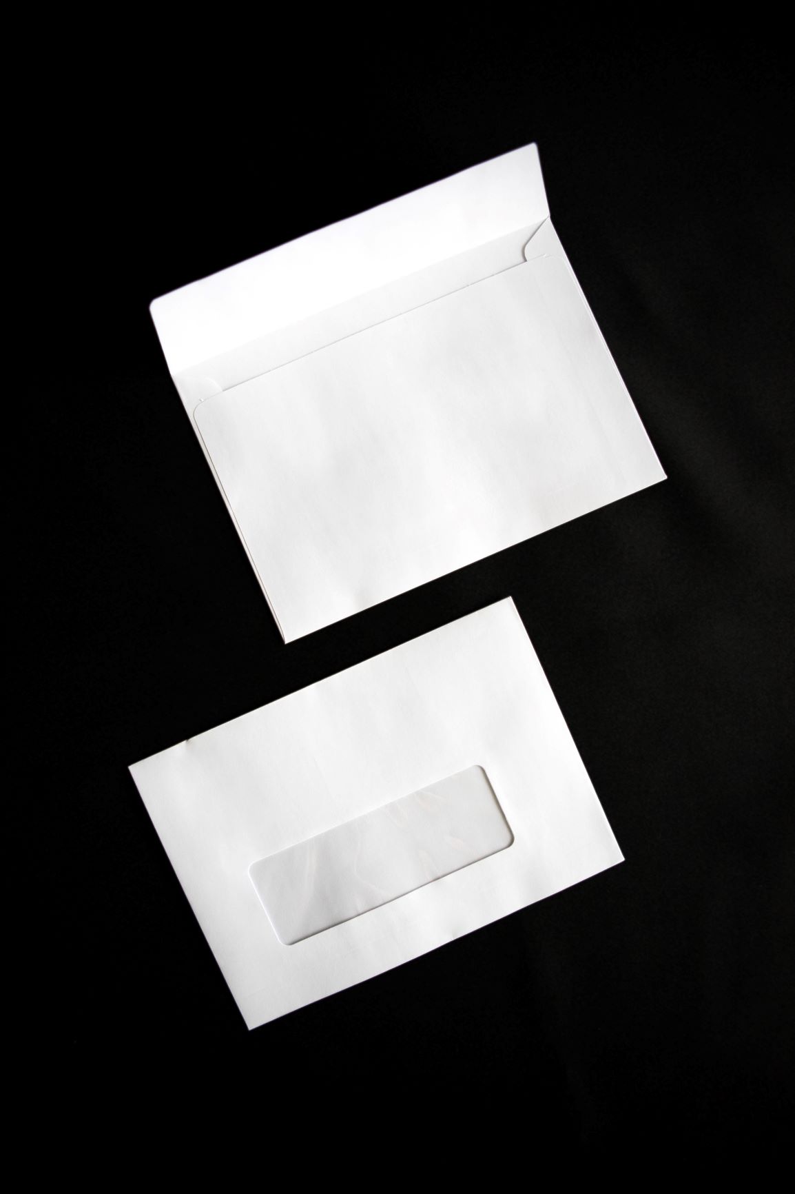 LionFile - Quality, Reliability, Versatility